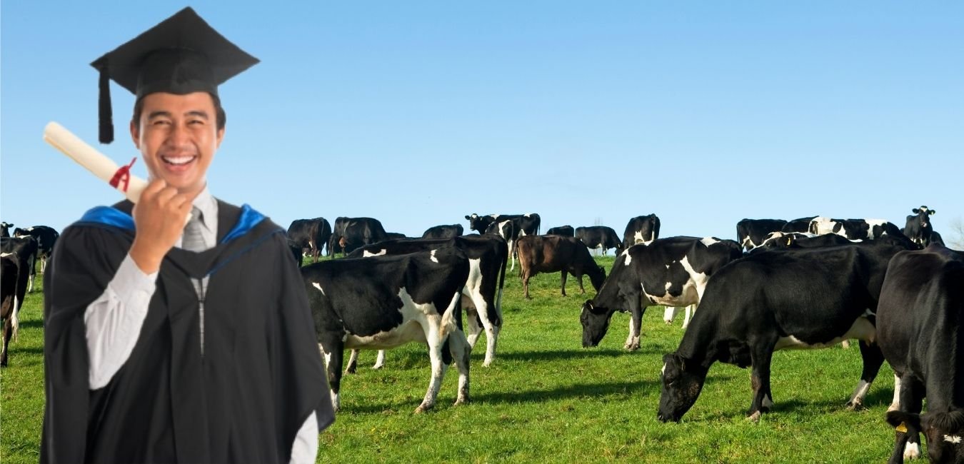 Dairy study the top Universities for Dairy Study herd management