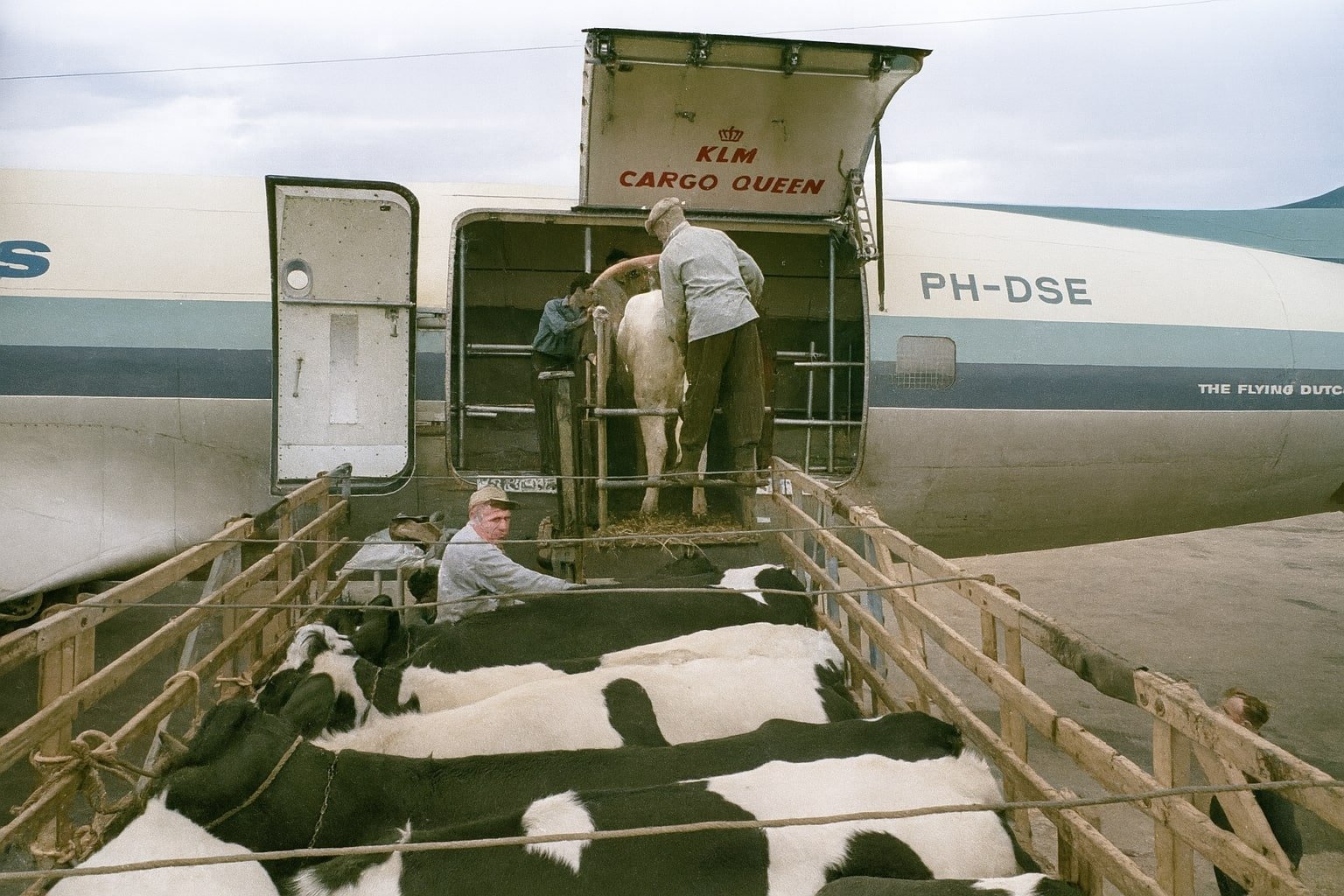 Israel-Iran Dairy Cooperation: A Forgotten Success Story